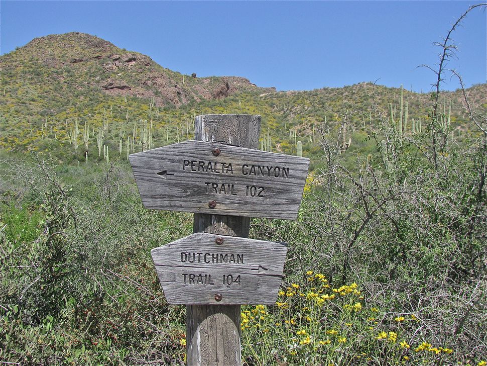 In Photos: Arizona's Superstition Wilderness | Live Science