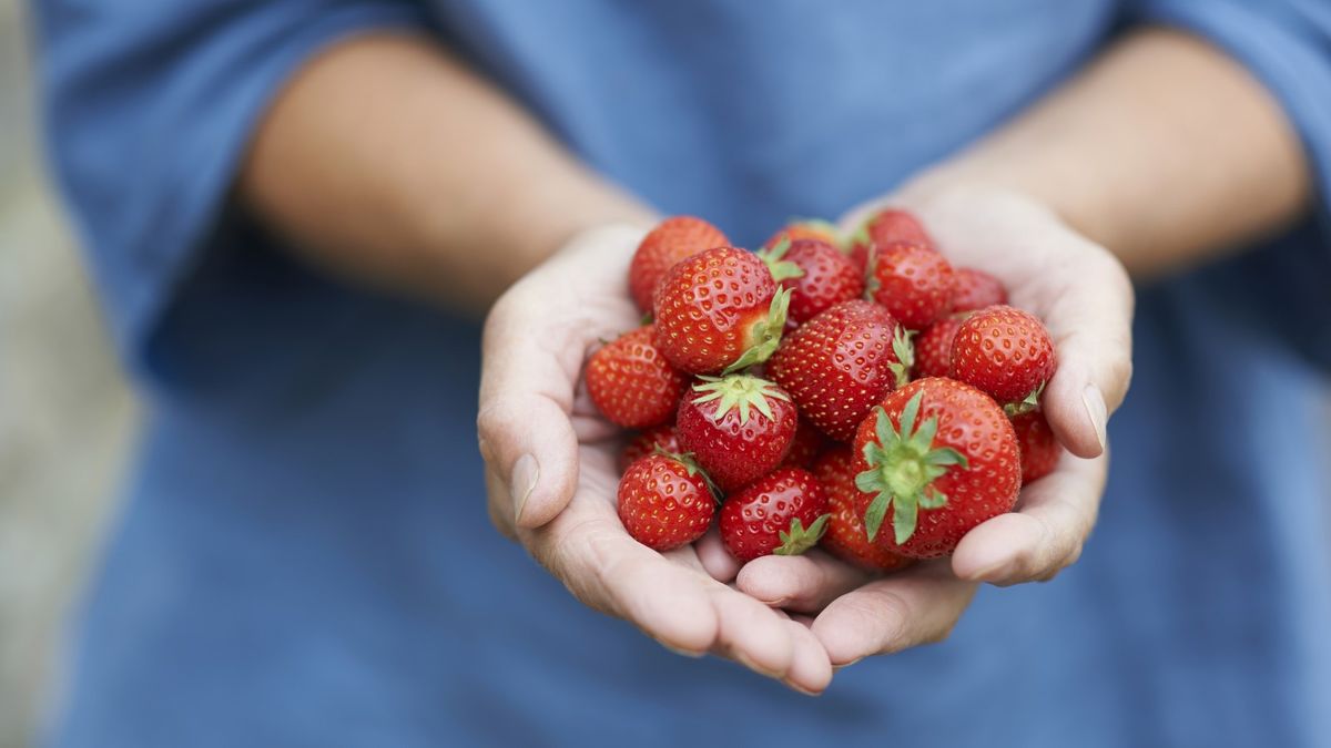 How to grow strawberries indoors | Homes and Gardens