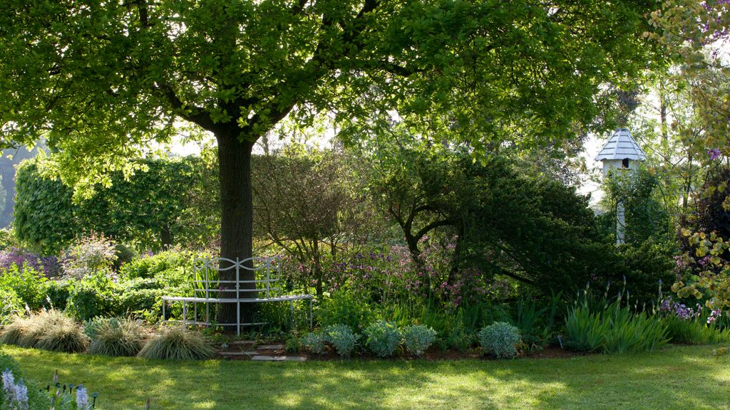 How to plant shrubs: when, where and the best method | Homes and Gardens