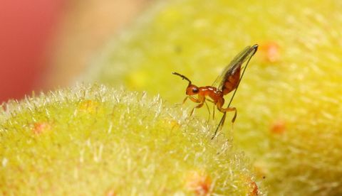 6 weird animals that evolution came up with | Live Science