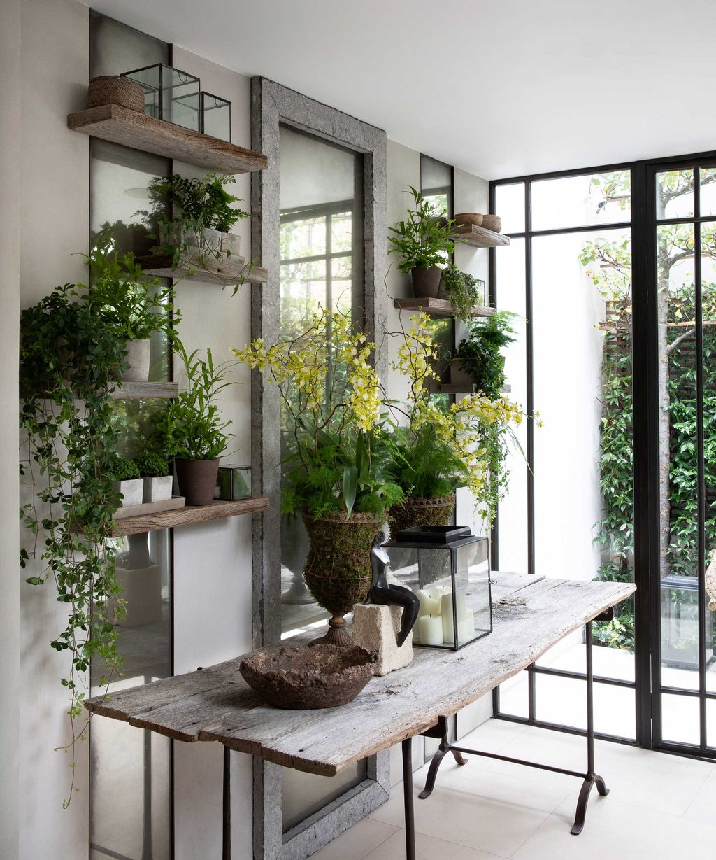 ALDI's Belavi Shelf is the Best Way to Display Houseplants | Homes and ...