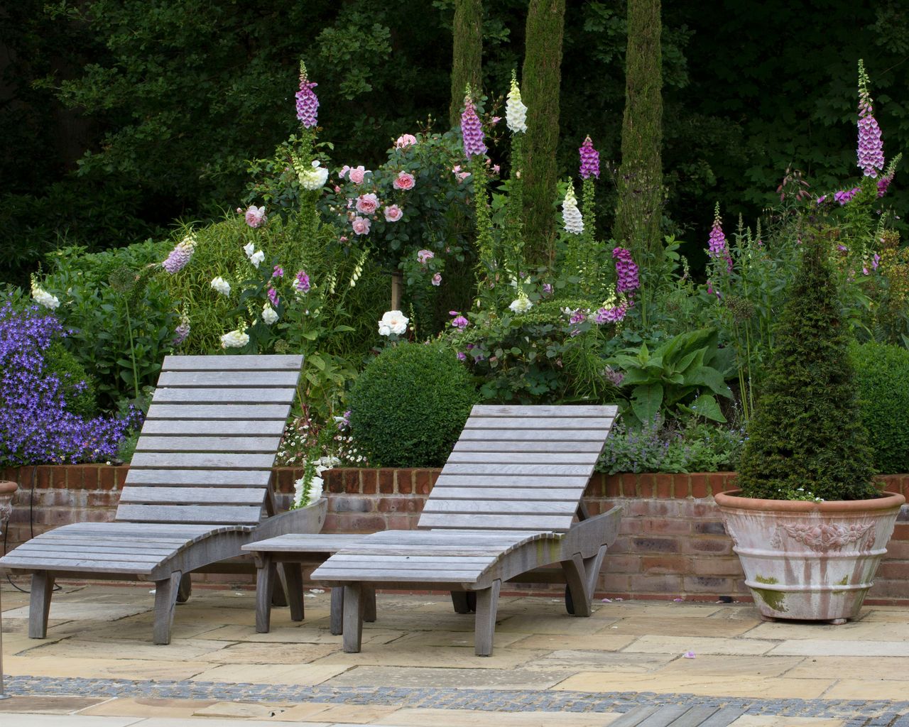 Planting foxgloves: when, where and how to grow foxgloves | Country