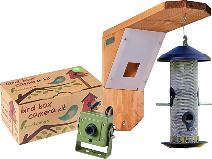 The best bird feeder camera in 2025 | Digital Camera World
