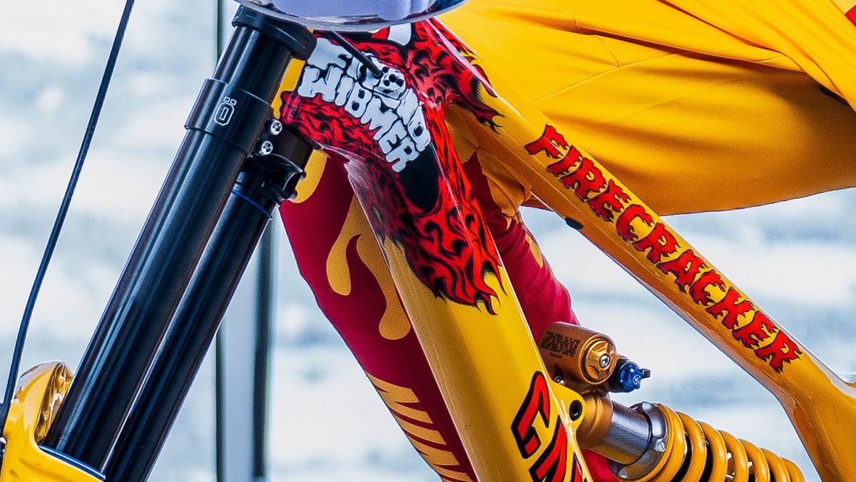 Full details on the custom Canyon Torque MTB Fabio Wibmer rode on his ...