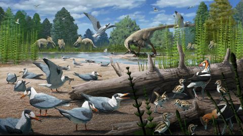 Birds have been nesting in the Arctic Circle for almost 73 million ...