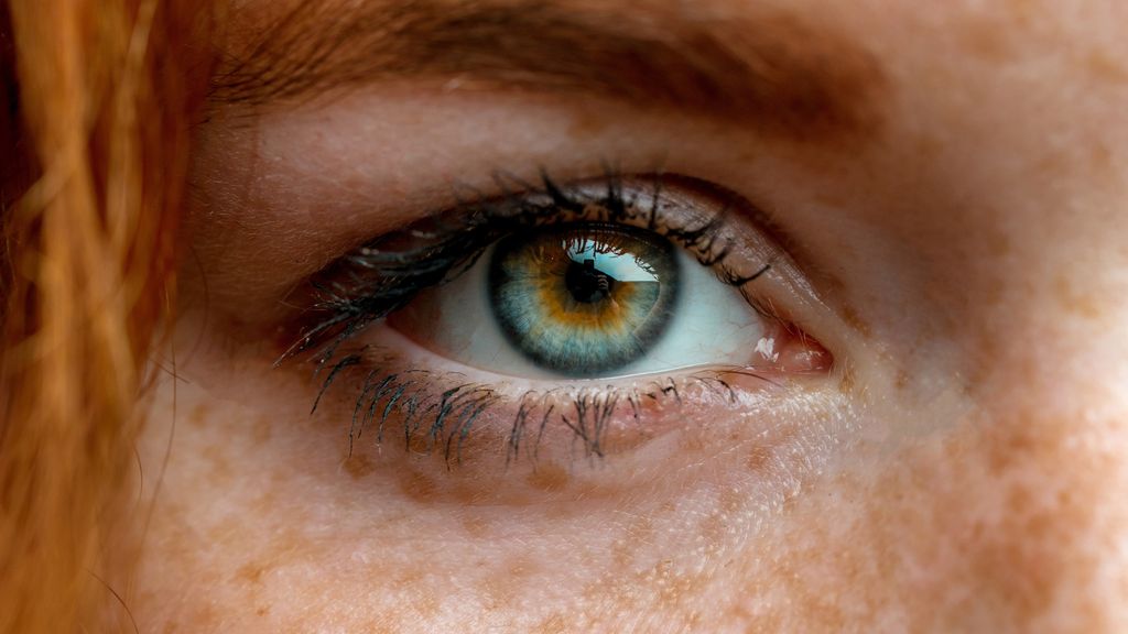 What is the human eye's frame rate? It's 77fps since you ask ...