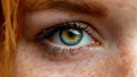 What is the human eye's frame rate? It's 77fps since you ask ...