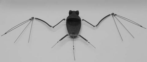 Robotic Bat: A Sneaky Spy | Live Science