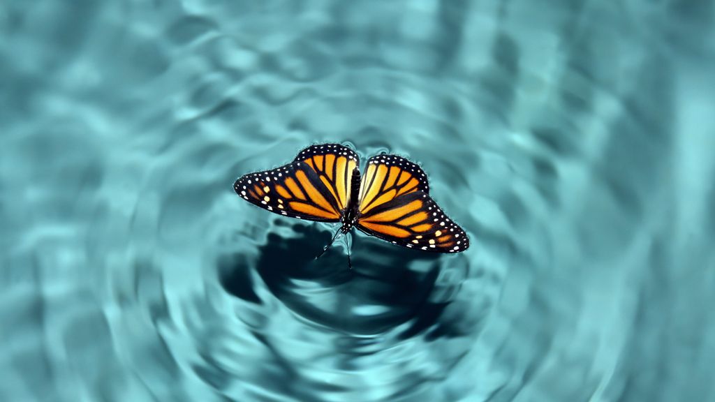 Chaos theory explained: A dive into an unpredictable universe | Space