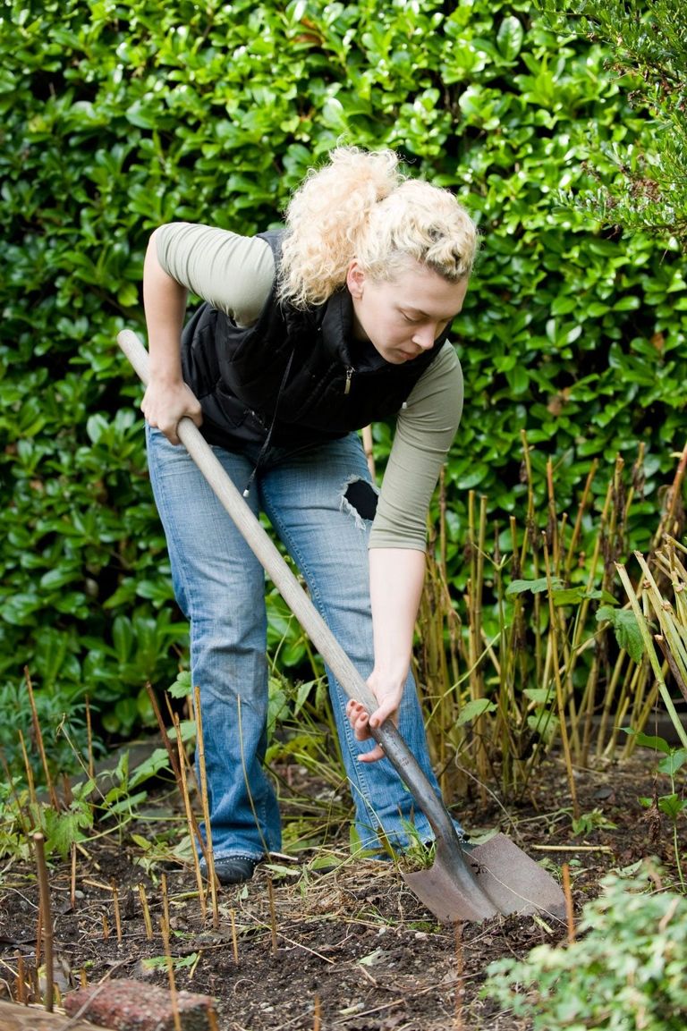 Hand Tilling Soil - The Double Digging Technique | Gardening Know How