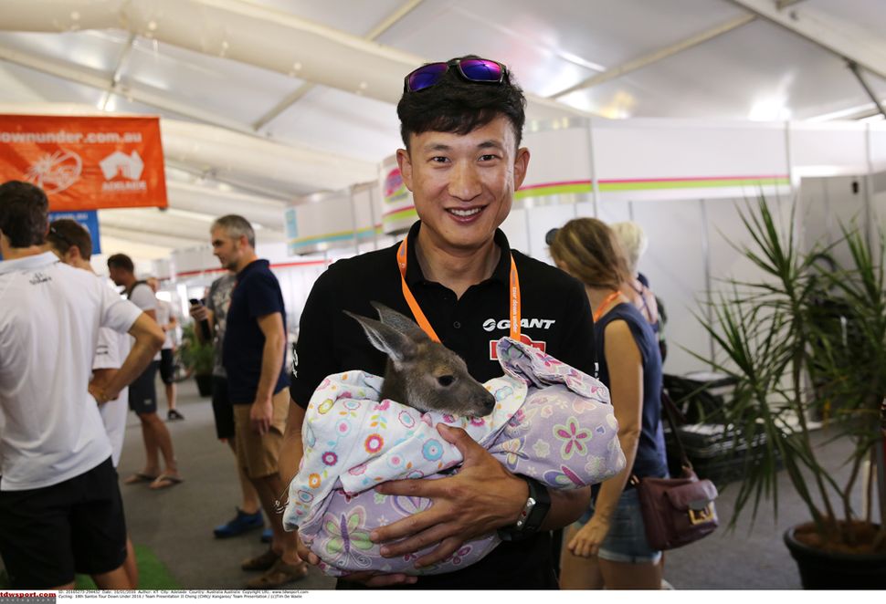 Ji Cheng sets out for his final season | Cyclingnews