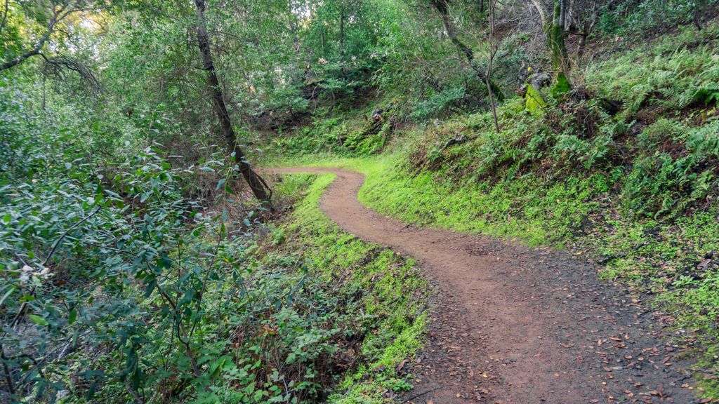 The trail I planned to hike is closed – can I use it anyway? | Advnture