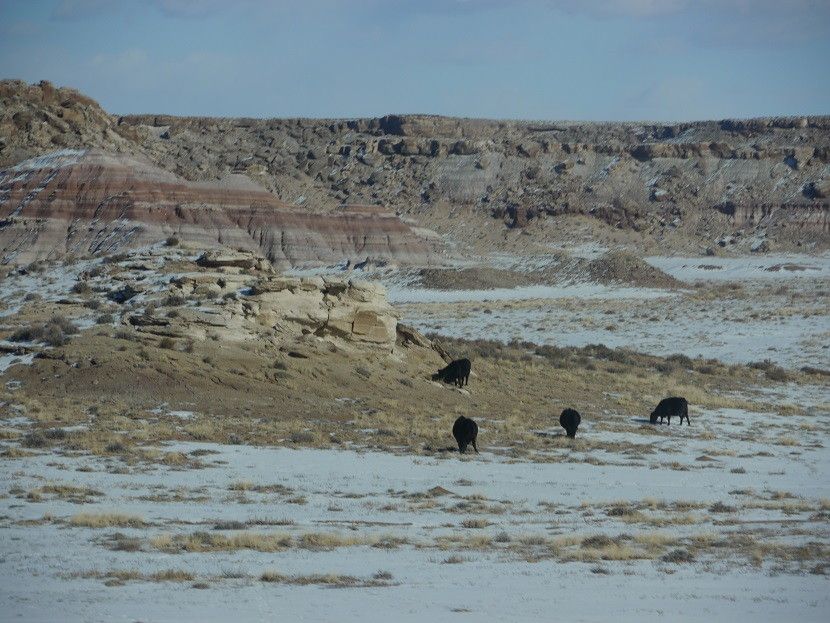 Mock Mars Mission Photos: Life on a Simulated Red Planet: Page 2 | Space