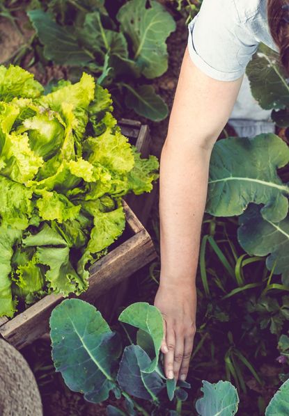 43 Sustainable Living Tips for 2025 That Won't Feel Daunting | Marie ...