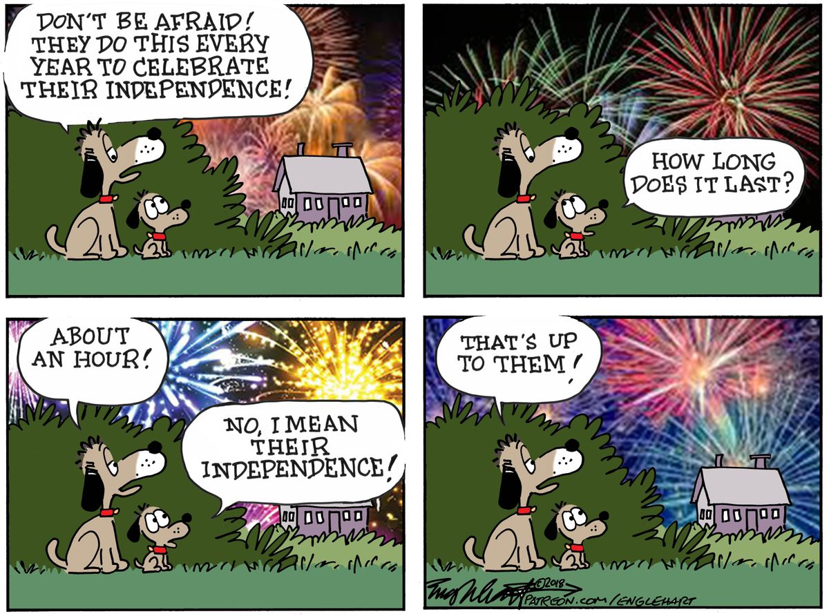 Political Cartoon U.S. Fourth of July fireworks independence | The Week