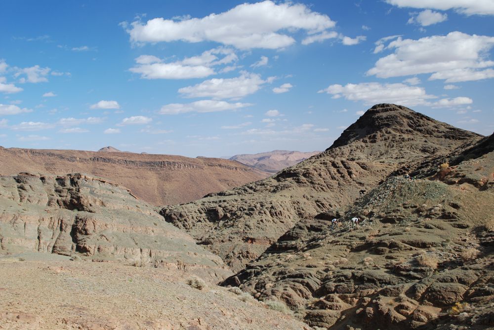 Image Gallery: Bizarre Cambrian Creature | Live Science