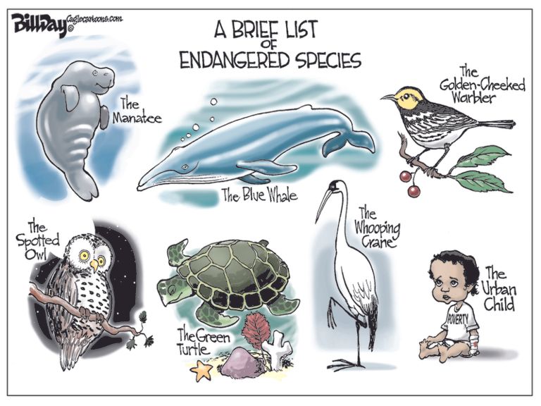 Editorial cartoon U.S. endangered species urban child | The Week