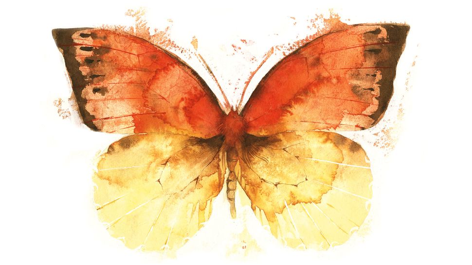 How to paint butterflies | Creative Bloq