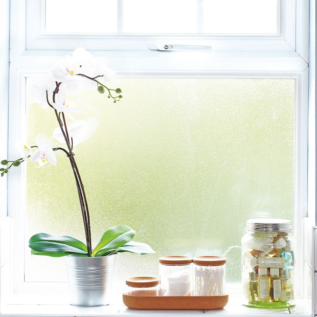 How to propagate orchids: a step-by-step guide | Ideal Home