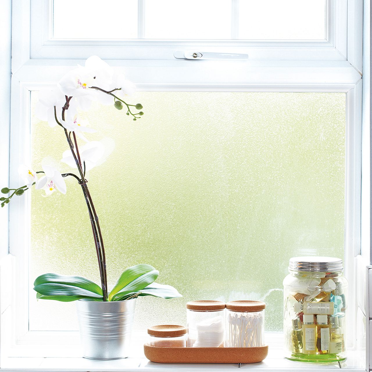 How to propagate orchids: a step-by-step guide | Ideal Home