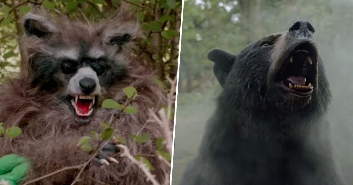 Crackcoon is Rocket Raccoon meets Cocaine Bear | GamesRadar+