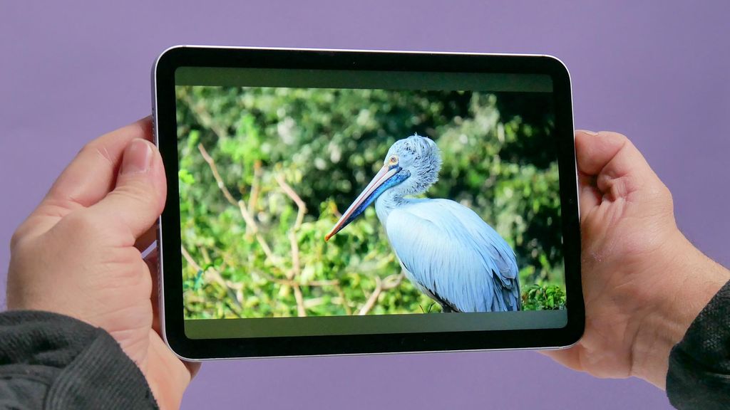 iPad mini 7 review: The best iPad mini yet | Tom's Guide