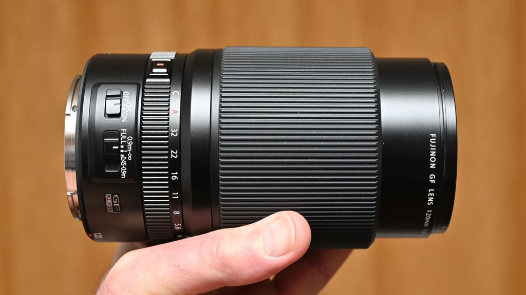 Fujifilm GF 120mm f/4 Macro R LM OIS WR review: a powerful medium ...