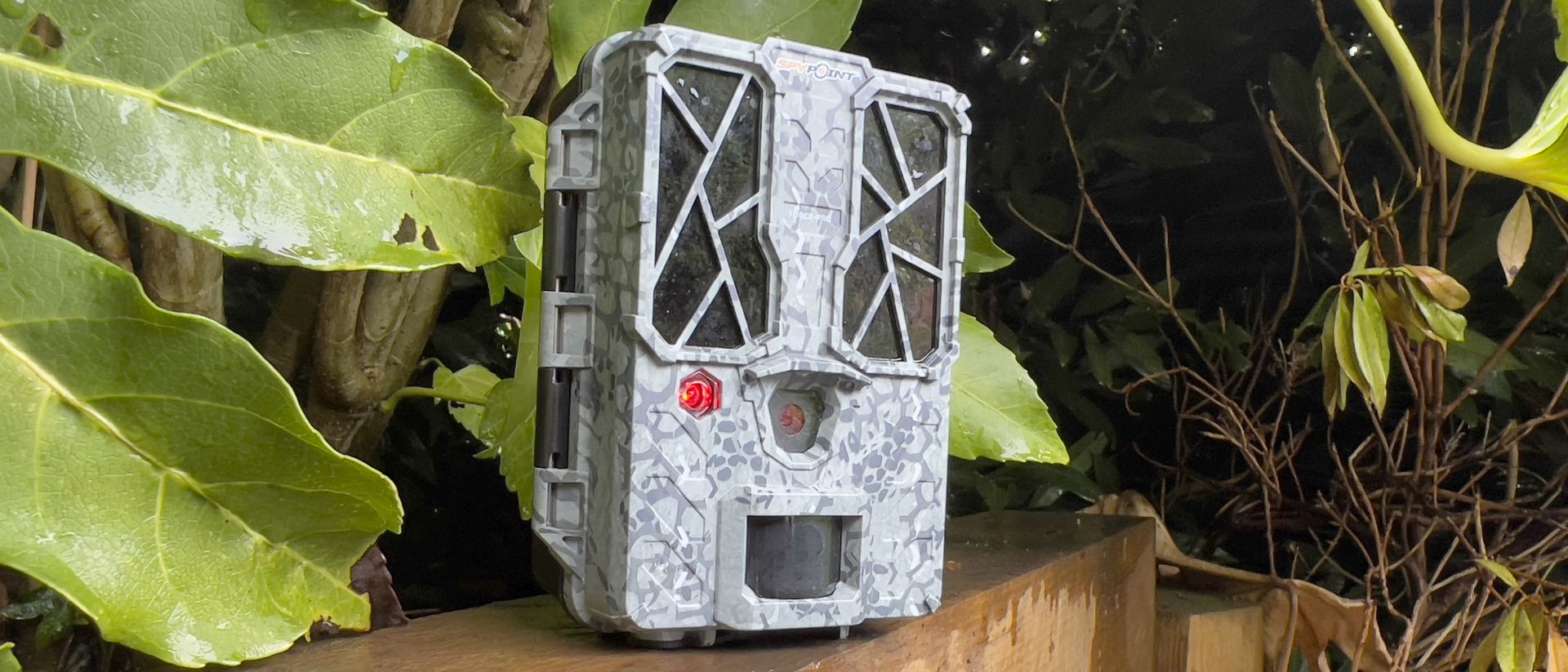 Spypoint Force-Pro trail camera review | Digital Camera World