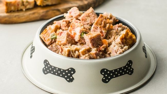 Christmas dinner for dogs: What's safe and not for your pets | PetsRadar