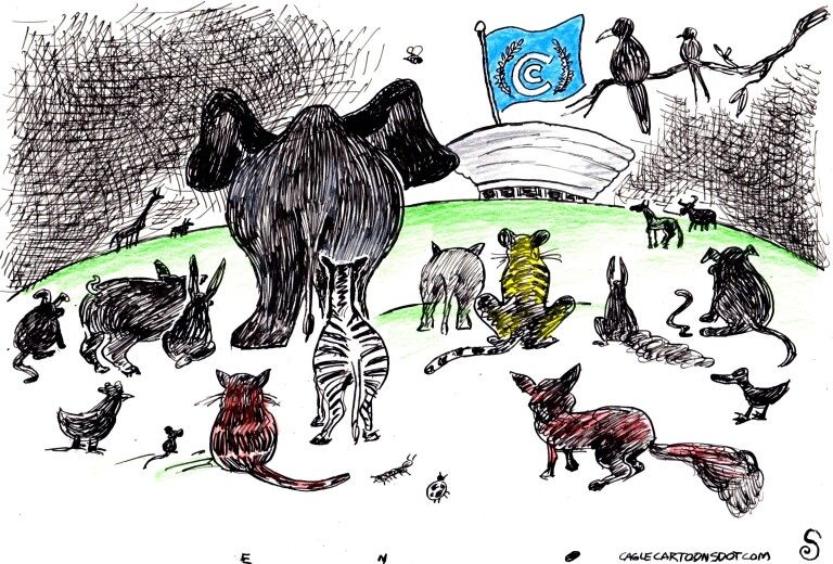 The animals are watching | The Week