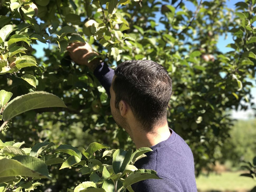 iPhone 7 Portrait Mode review: Magic in its imperfections | iMore