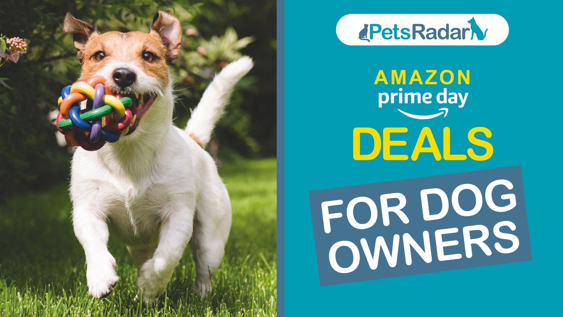 Amazon Prime Day dog deals to snap up before it ends tonight | PetsRadar