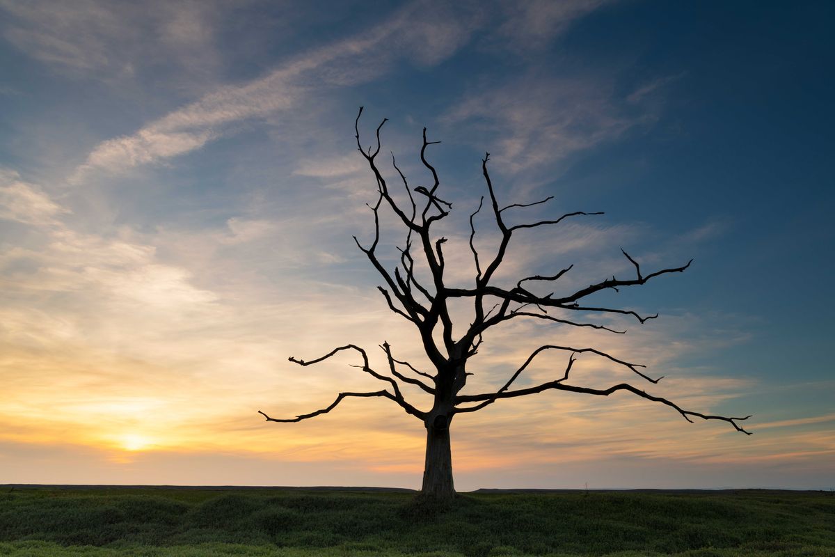 A day in the life of pro landscape photographer Jeremy Walker | Digital ...