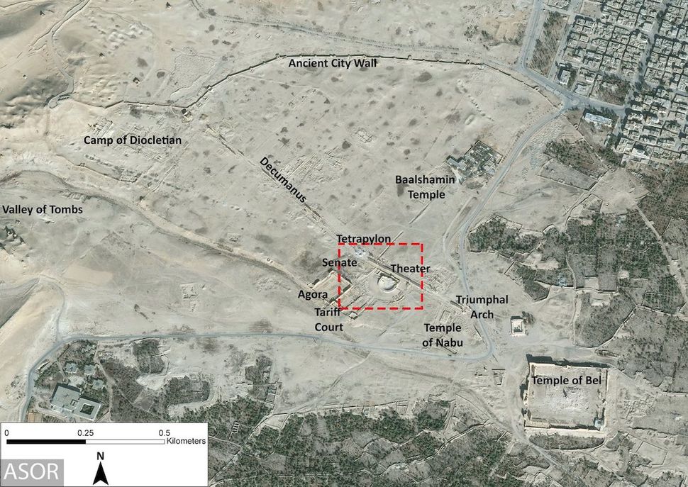 In Photos: Destruction of Iconic Monuments at Ancient City of Palmyra ...