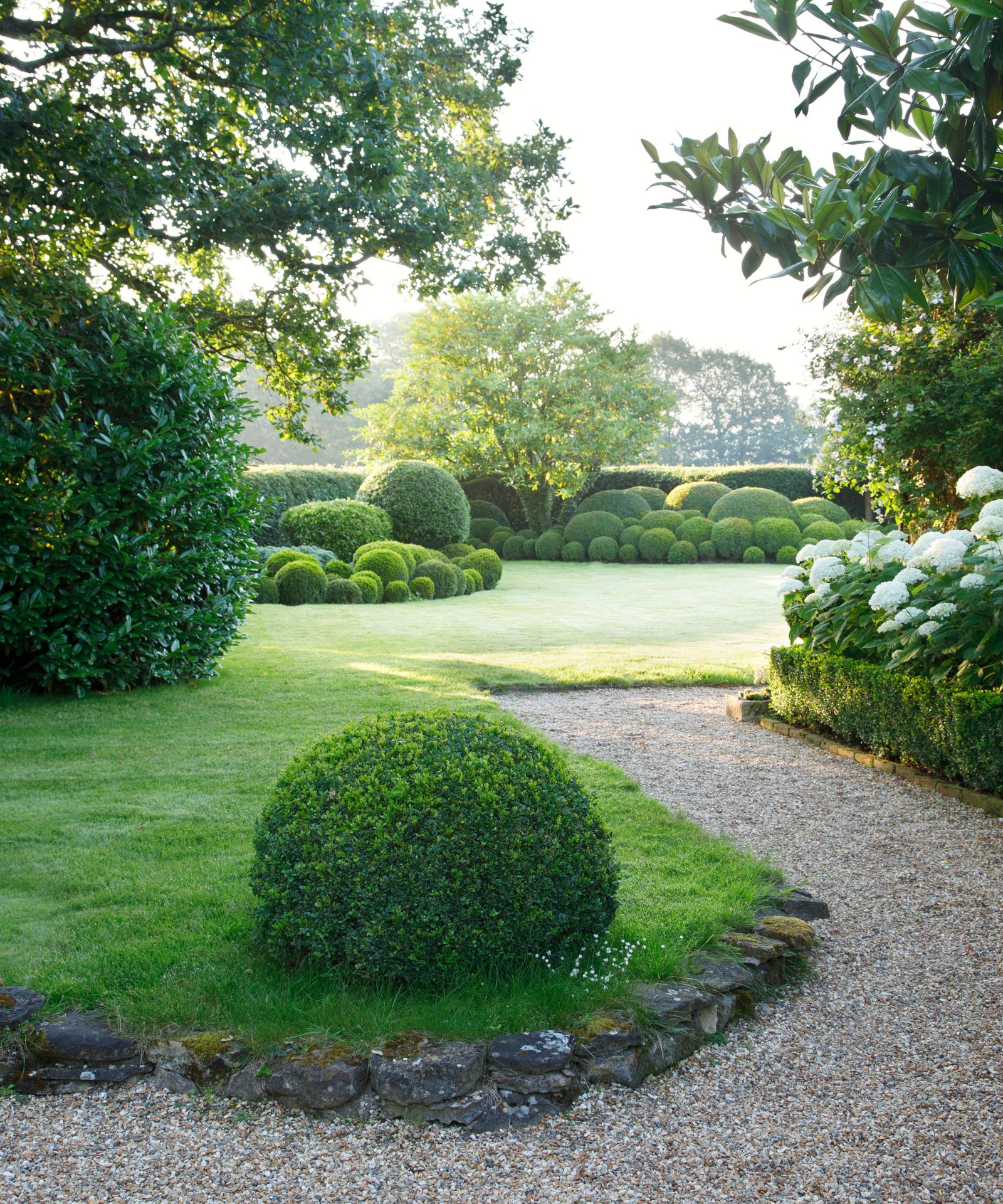 Why put sand on your lawn: 4 ways to use this versatile material ...