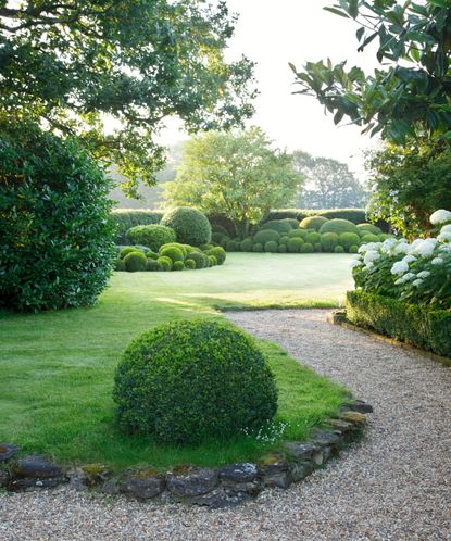 Why put sand on your lawn: 4 ways to use this versatile material ...