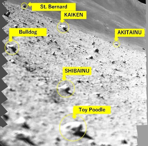 Japan's upside-down SLIM moon lander wakes up on lunar surface and ...