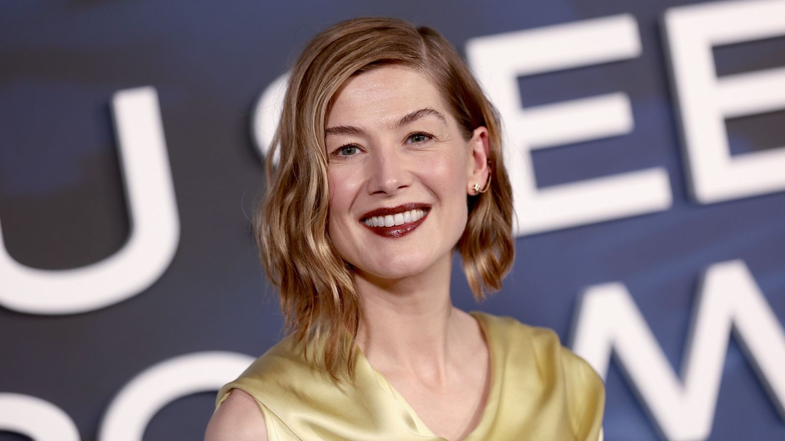 ‘It’s devastating, but not in the way people imagine’: Rosamund Pike on ...