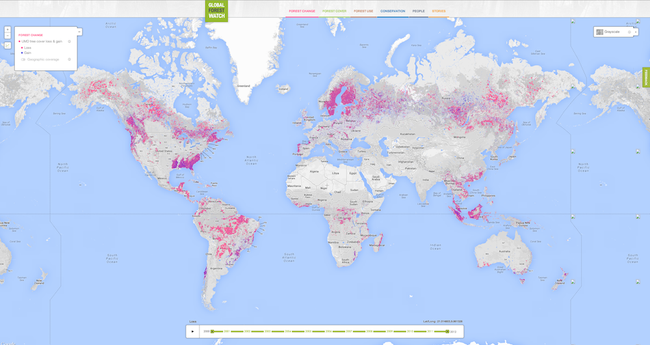 New Website Tracks Deforestation in Near Real-Time | Live Science