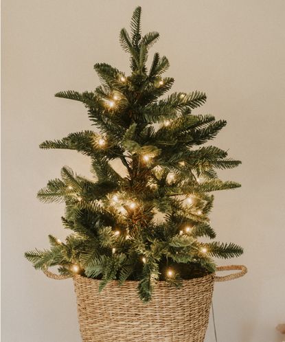 Real mini Christmas tree varieties: 5 tiny alternatives | Homes and Gardens