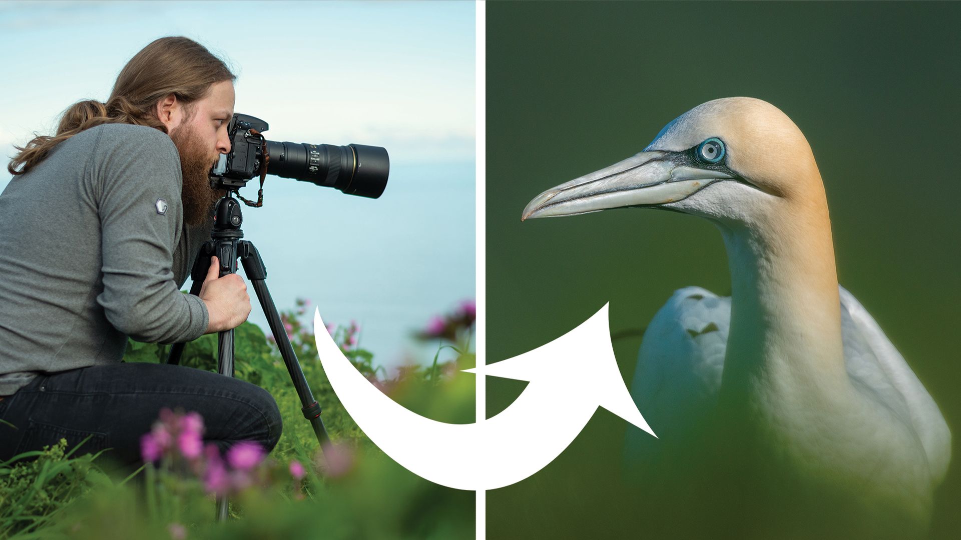 Compact, sharp, long: It’s time Nikon brought my favorite DSLR lens to ...