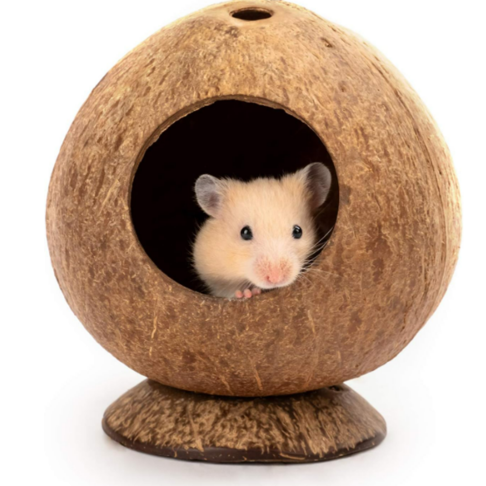 Best hamster toys 2025 for keeping your furry friend happy | PetsRadar