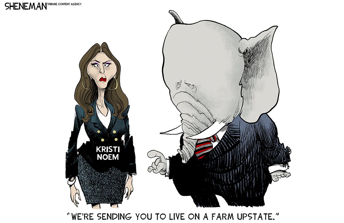 5 high-caliber cartoons about Kristi Noem shooting her puppy | The Week
