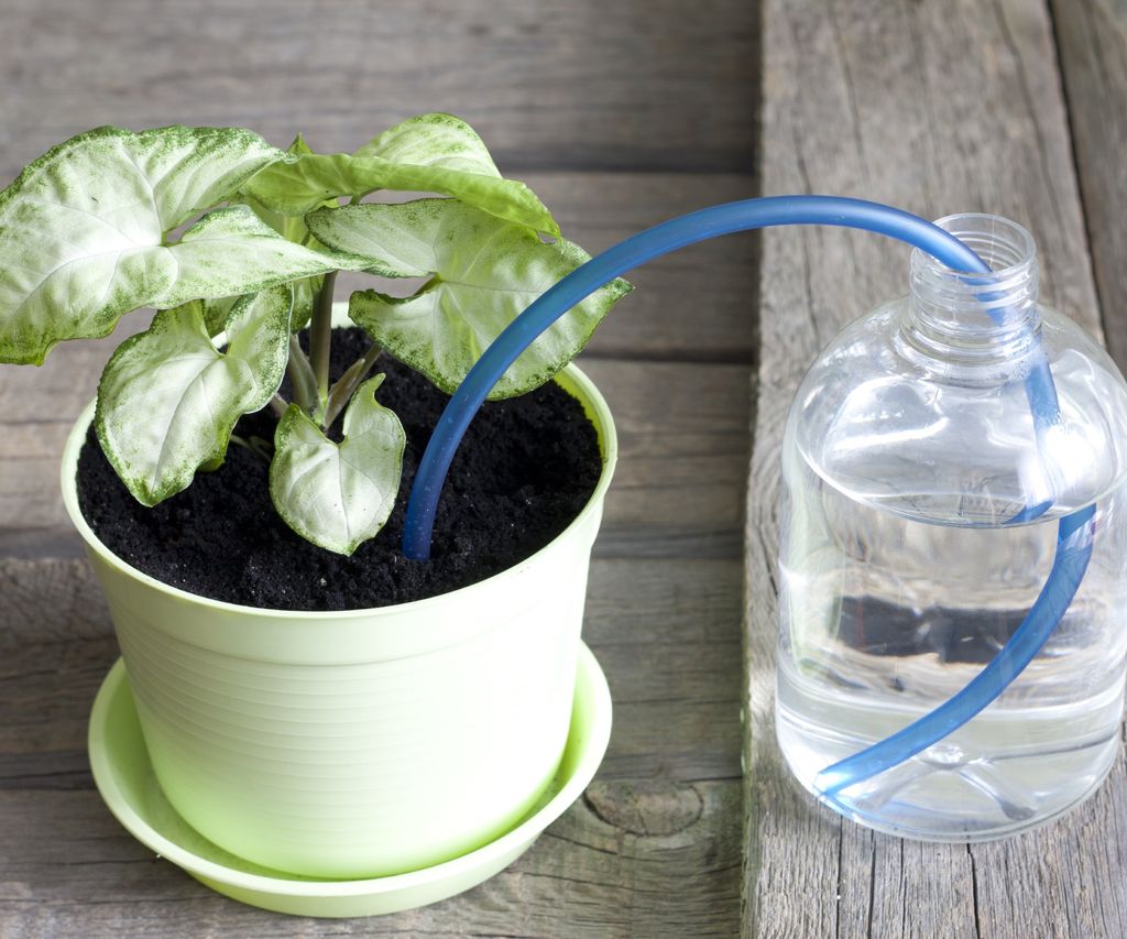 What Is A Water Wick? How It Can Keep Plants Hydrated | Gardening Know How