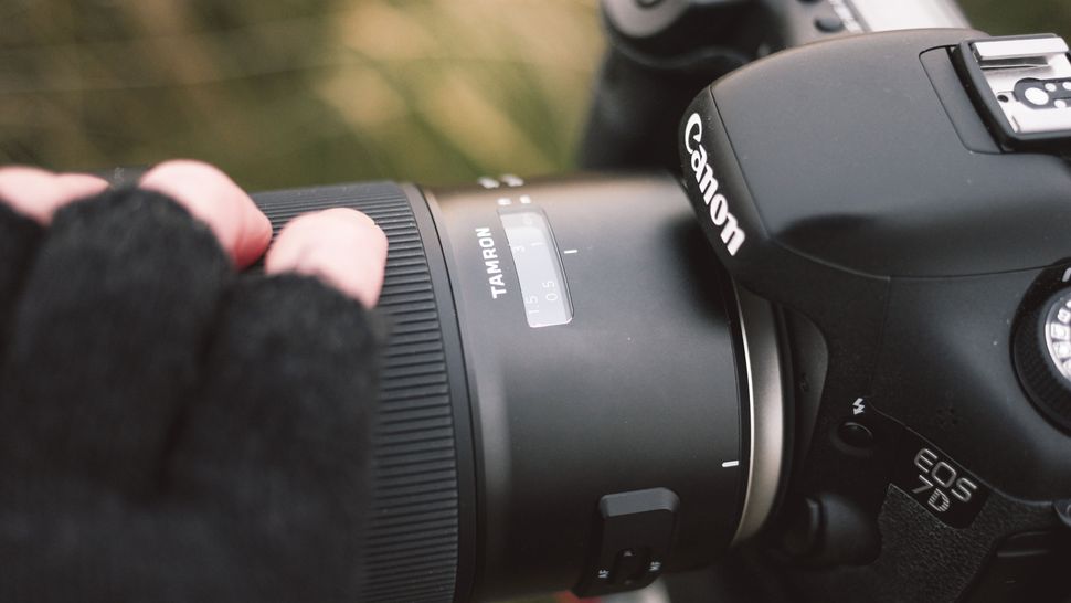 Landscapes with a difference: shoot amazing shallow scenics | Digital ...