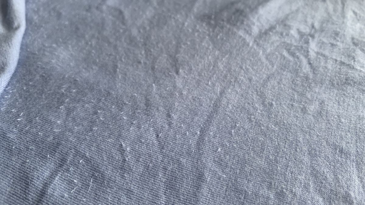 BAM Women’s Novea Crew Neck Training Top review: soft, stretchy and ...