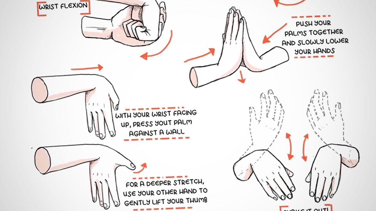 Keep Your Hands In Shape With This Infographic Creative Bloq