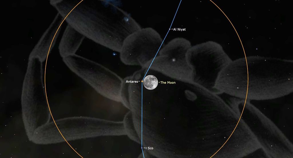 See May's Full Flower Moon blossom in the night sky tonight | Space