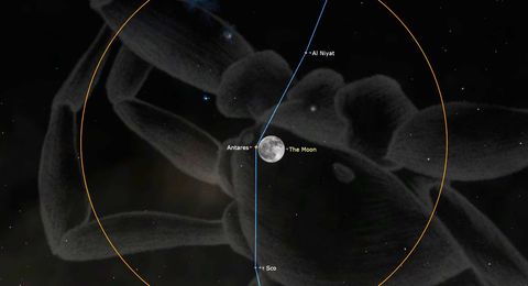 See May's Full Flower Moon blossom in the night sky tonight | Space