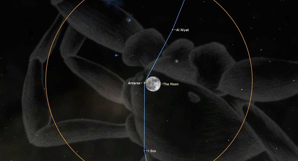 See May's Full Flower Moon blossom in the night sky tonight | Space